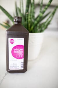 How to Get Rid of Gnats in Plants Naturally - 11 Tips - Paisley Plants