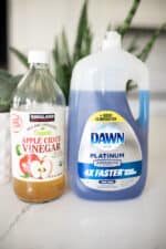 How to Get Rid of Gnats in Plants Naturally - 11 Tips - Paisley Plants